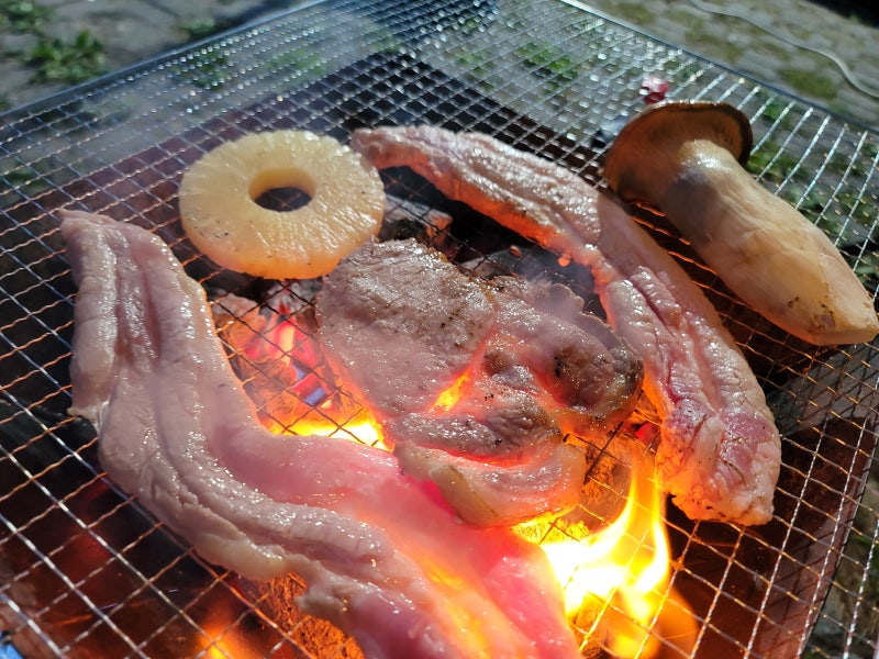 망상 제2오토캠핑장 카라반 명당 및 피해야할 곳 예약방법 가격 등 네이버 블로그