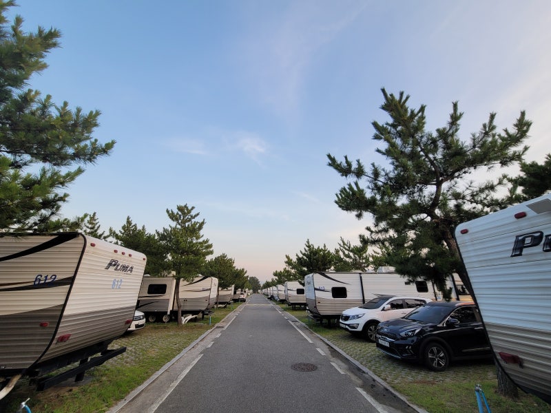 망상 제2오토캠핑장 카라반 명당 및 피해야할 곳 예약방법 가격 등 네이버 블로그