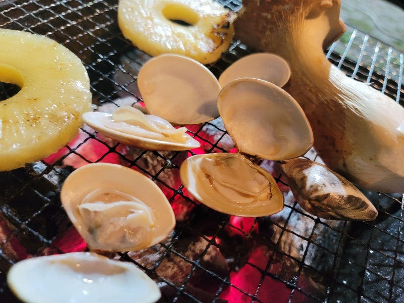 망상 제2오토캠핑장 카라반 명당 및 피해야할 곳 예약방법 가격 등 네이버 블로그