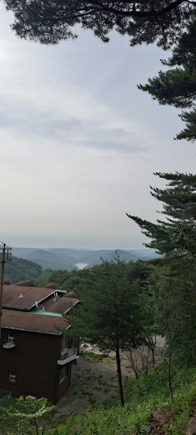 경북 영덕 숙소 국립 칠보산자연휴양림 숲속의 집 숙박후기 11인실 참나리 8인실 생강나무 2탄 네이버 블로그