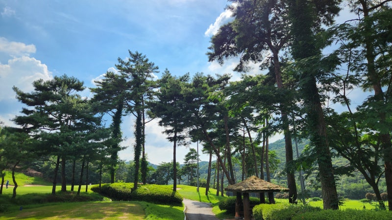 전라북도 골프장 고창 가볼만한곳 골프존카운티 선운cc 코스 공략법 선운산 단풍 상사화 명소 네이버 블로그