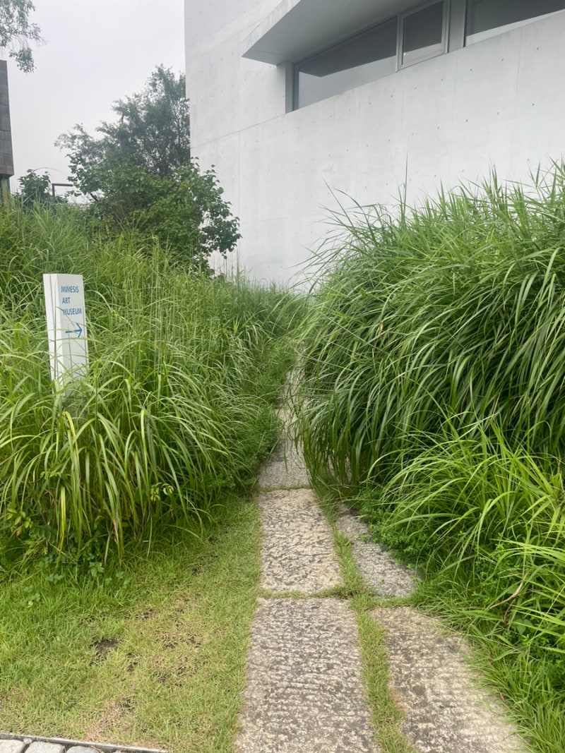 파주 가볼만한 곳 건물이 예쁜 미메시스 아트 뮤지엄 네이버 블로그