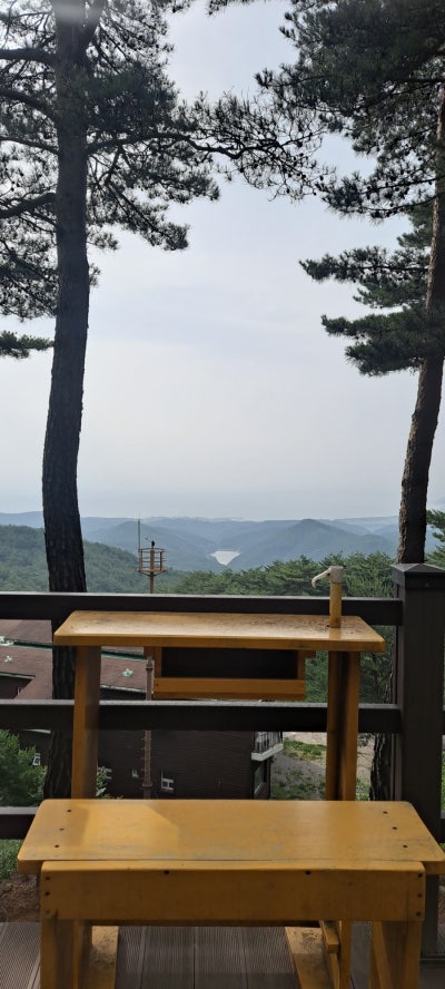 경북 영덕 숙소 국립 칠보산자연휴양림 숲속의 집 숙박후기 11인실 참나리 8인실 생강나무 2탄 네이버 블로그