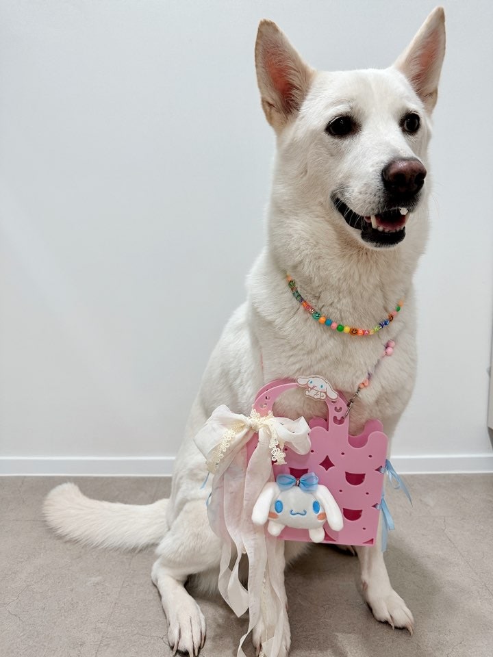 뉴진스 버니 비치백 꾸미기 NEWJEANS EP2 BUNNY BEACH BAG : 네이버 블로그