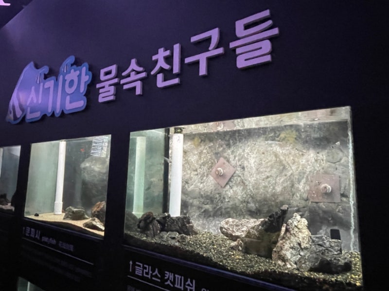 경기도 광명동굴 입장료 이용시간 주차장 코스 네이버 블로그