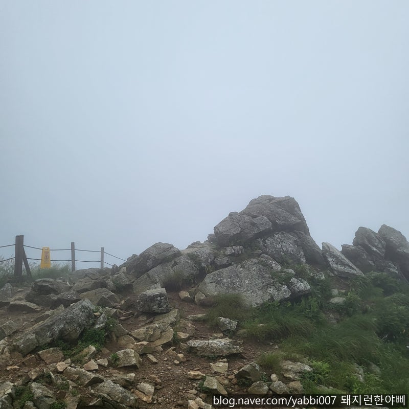 단양 소백산 등산 최단코스어의곡 비로봉 왕복 104km 네이버 블로그
