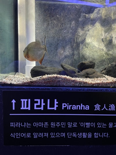경기도 광명동굴 입장료 이용시간 주차장 코스 네이버 블로그