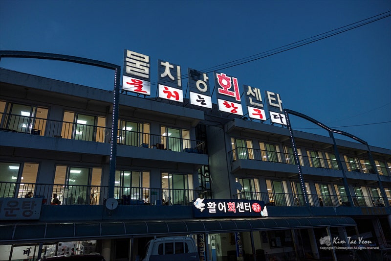 강원도 양양 물치항 회센터 회포장 네이버 블로그