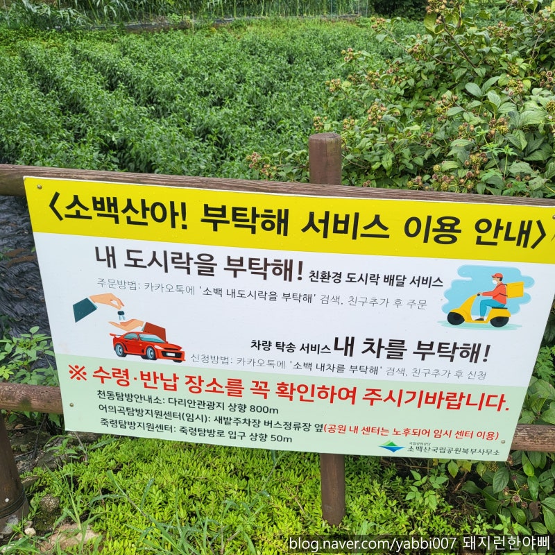 단양 소백산 등산 최단코스어의곡 비로봉 왕복 104km 네이버 블로그