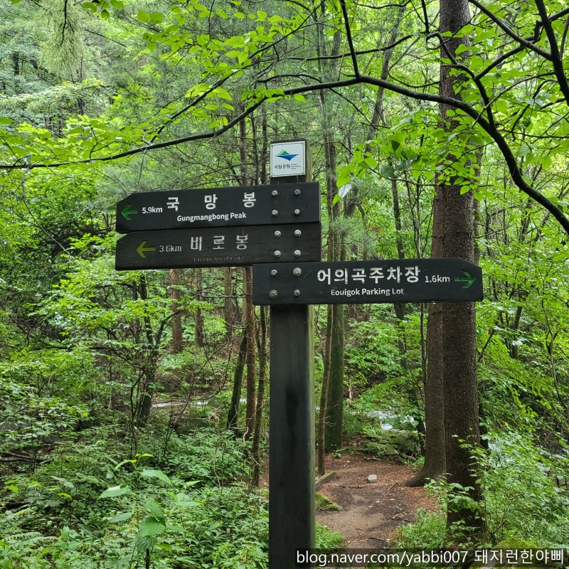 단양 소백산 등산 최단코스어의곡 비로봉 왕복 104km 네이버 블로그