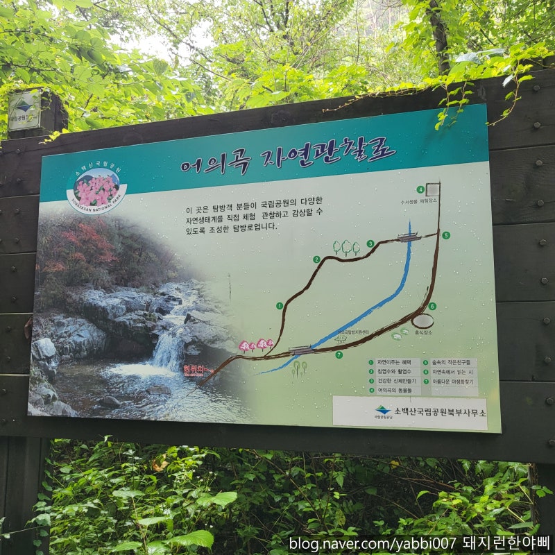 단양 소백산 등산 최단코스어의곡 비로봉 왕복 104km 네이버 블로그