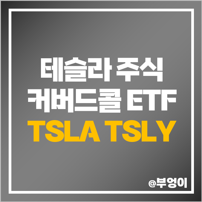 미국 고배당주 ETF TSLY 주가 배당 수익률, 테슬라 전기차 관련주 : 네이버 블로그