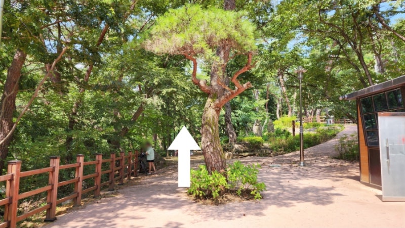 울산 언양 작천정 계곡 평상 없어도 놀기좋은 명당 추천ft 취사 주차 네이버 블로그