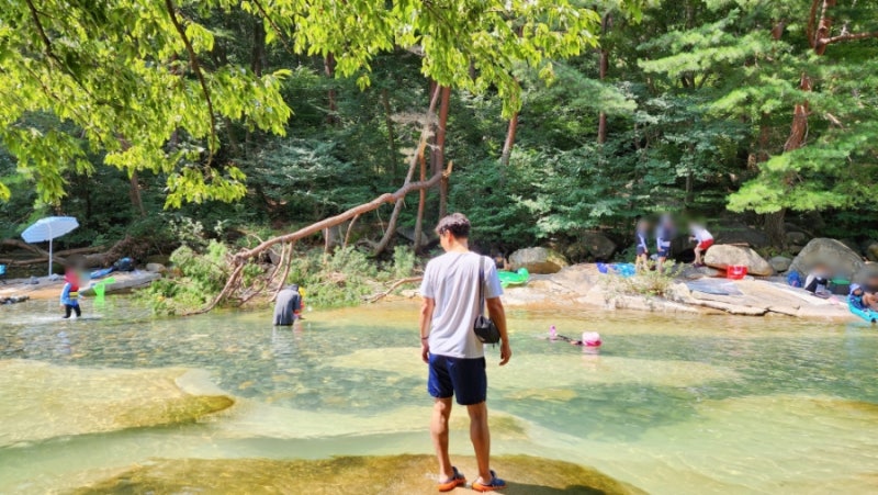 울산 언양 작천정 계곡 평상 없어도 놀기좋은 명당 추천ft 취사 주차 네이버 블로그