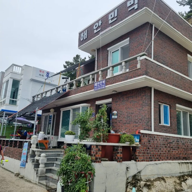 강원동해삼척 장호항 걸어서 1분컷 바로 앞에 있는 숙소 해안민박 리뷰 장호항이용요금숙소추천친절비추 네이버 블로그