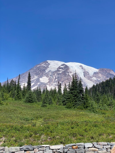 [Mt. Rainier] 워싱턴 국립공원 마운틴 레이니어🏔 국립공원 주차 패스 정보, 파라다이스 트레일, 파노라마 포인트 후기 ...