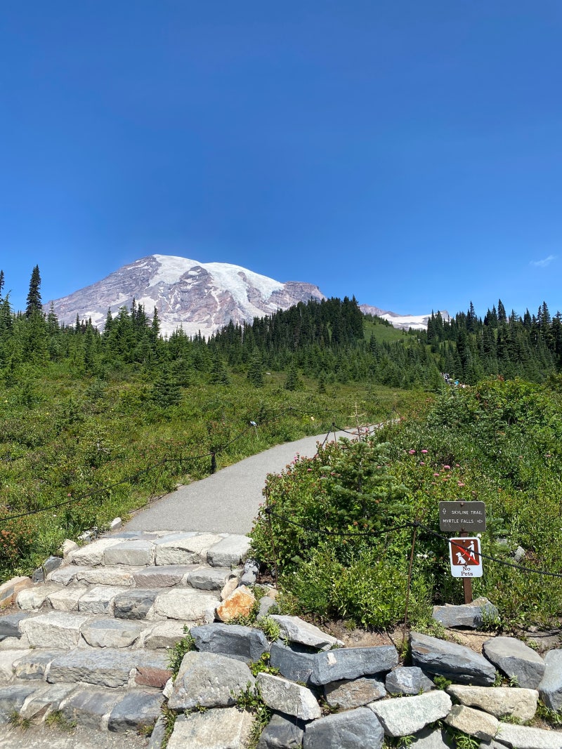 [Mt. Rainier] 워싱턴 국립공원 마운틴 레이니어🏔 국립공원 주차 패스 정보, 파라다이스 트레일, 파노라마 포인트 후기 ...