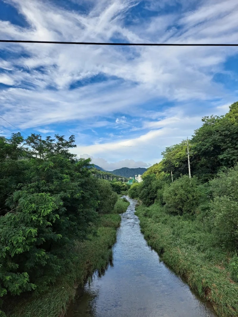 🏪진접읍용달이사 ️포천 군내면용달🏡남양주용달이사🚚독정리용달이사🚛연평리용달🚚장현리용달🚛금곡리용달🚚내각리용달🚛오남읍용달🚚진건읍용달🚛