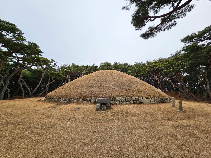 27 경주 역사 여행 한국 최초의 여왕 선덕여왕릉 네이버 블로그