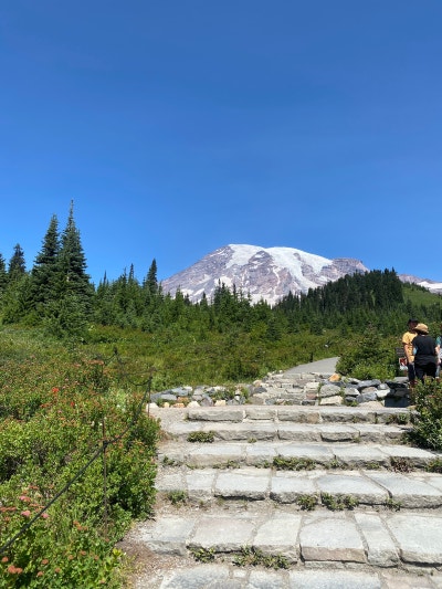 [Mt. Rainier] 워싱턴 국립공원 마운틴 레이니어🏔 국립공원 주차 패스 정보, 파라다이스 트레일, 파노라마 포인트 후기 ...