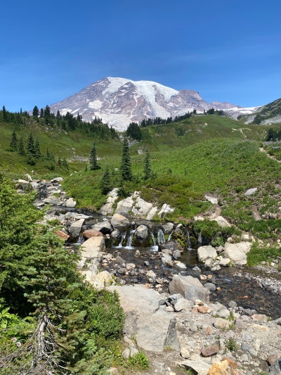 [Mt. Rainier] 워싱턴 국립공원 마운틴 레이니어🏔 국립공원 주차 패스 정보, 파라다이스 트레일, 파노라마 포인트 후기 ...