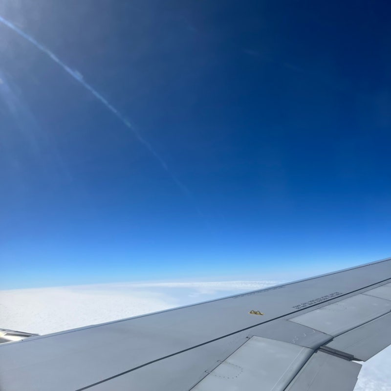대만 여행 6박 7일 첫번째 날 2 타이거항공 타오위안 공항 딘타이펑 난시점남서점 네이버 블로그