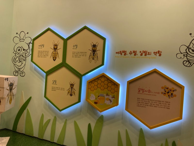아이와갈만한곳 꿀벌나라테마공원 꿀뜨기체험 칠곡가볼만한곳 네이버 블로그