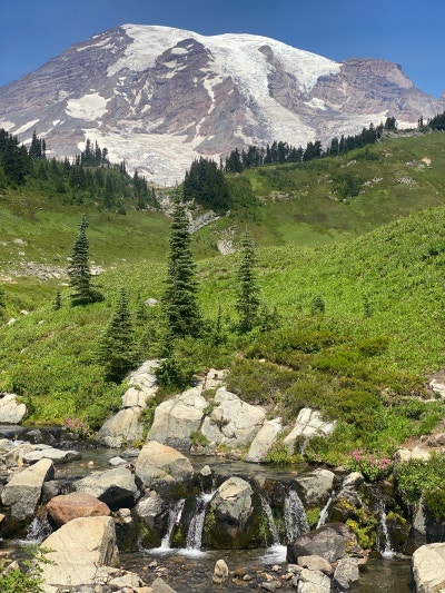 [Mt. Rainier] 워싱턴 국립공원 마운틴 레이니어🏔 국립공원 주차 패스 정보, 파라다이스 트레일, 파노라마 포인트 후기 ...