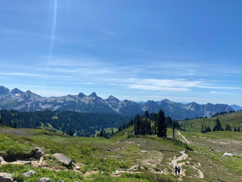 [Mt. Rainier] 워싱턴 국립공원 마운틴 레이니어🏔 국립공원 주차 패스 정보, 파라다이스 트레일, 파노라마 포인트 후기 ...
