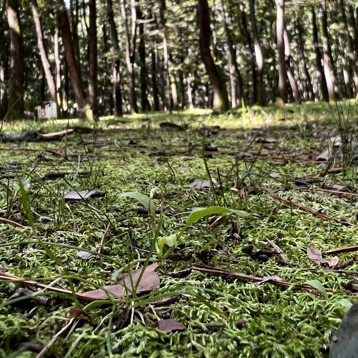 현대시 멋글씨 흙을 만지며 : 네이버 블로그