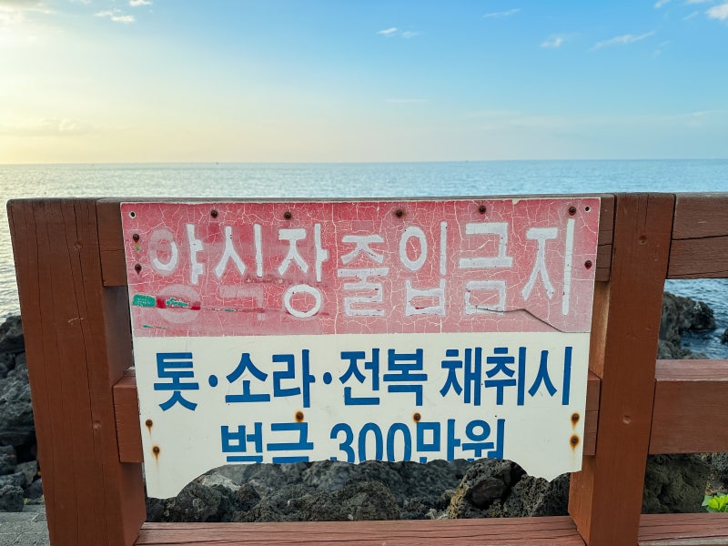 제주시 가볼만한곳 드라이브 코스 용두암 입장료 주차장 네이버 블로그