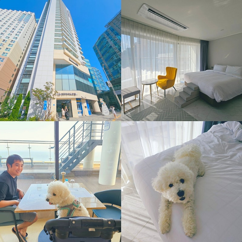 부산 해운대 숙소 영무파라드 호텔 애견 동반 놀이방 조식 네이버 블로그