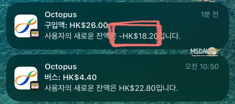홍콩여행 홍콩 옥토퍼스카드 총정리┃종류 구입 충전 잔액확인 보증금 환불 환승 애플페이 등록 마이너스 사용