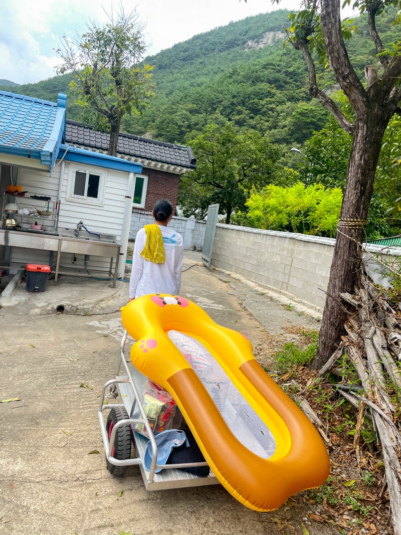 대구 근교 청도 계곡 순재네 평상 물놀이 후기 네이버 블로그