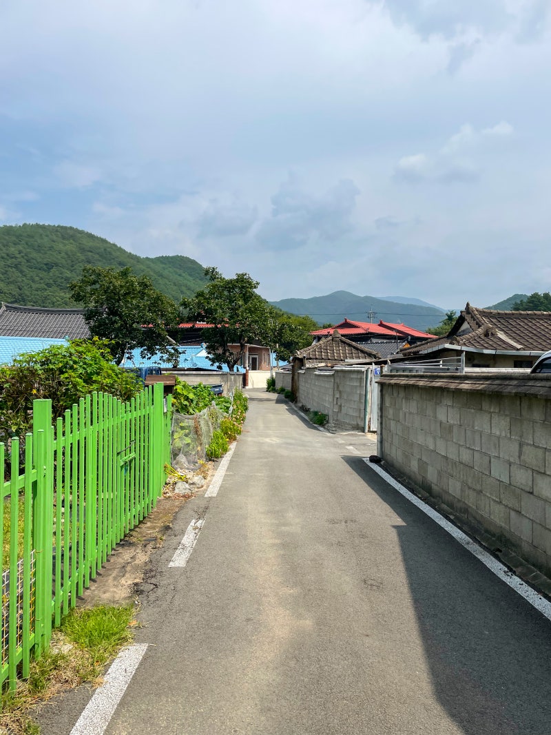 대구 근교 청도 계곡 순재네 평상 물놀이 후기 네이버 블로그