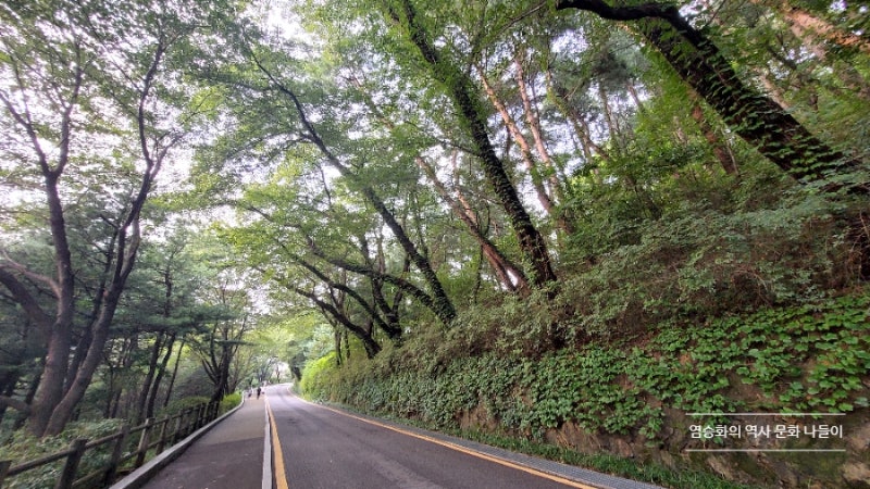 남산 남측순환로 따라 펼쳐지는 싱그러운 녹음 길을 걷다 남산 둘레길 서울 걷기 좋은 길 네이버 블로그