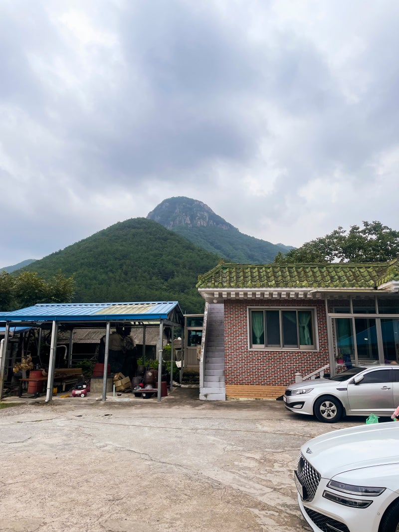 대구 근교 청도 계곡 순재네 평상 물놀이 후기 네이버 블로그