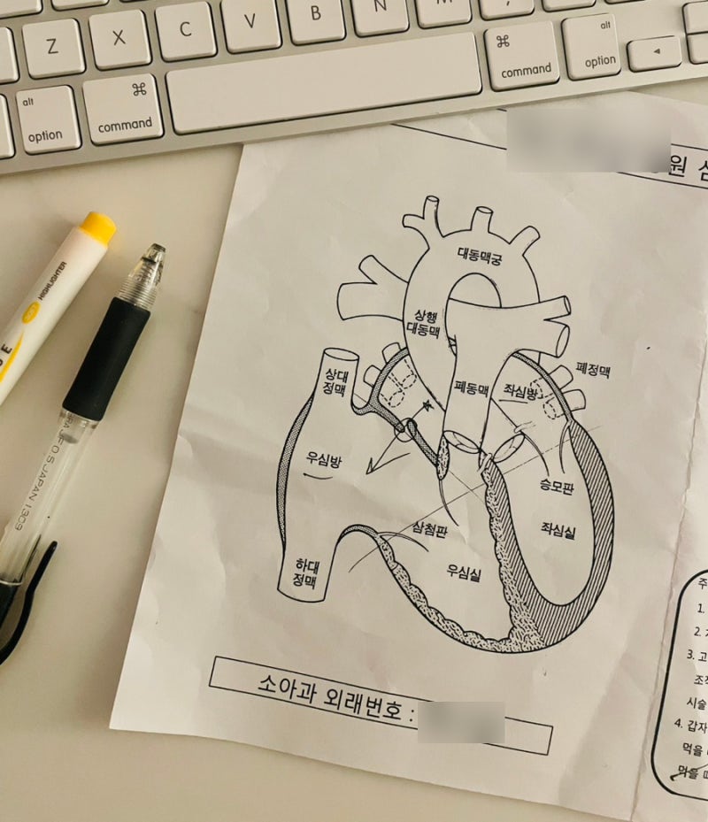 신생아 심장 잡음 이유는 심실 심방중격결손 이라는 심장 구멍 때문 네이버 블로그