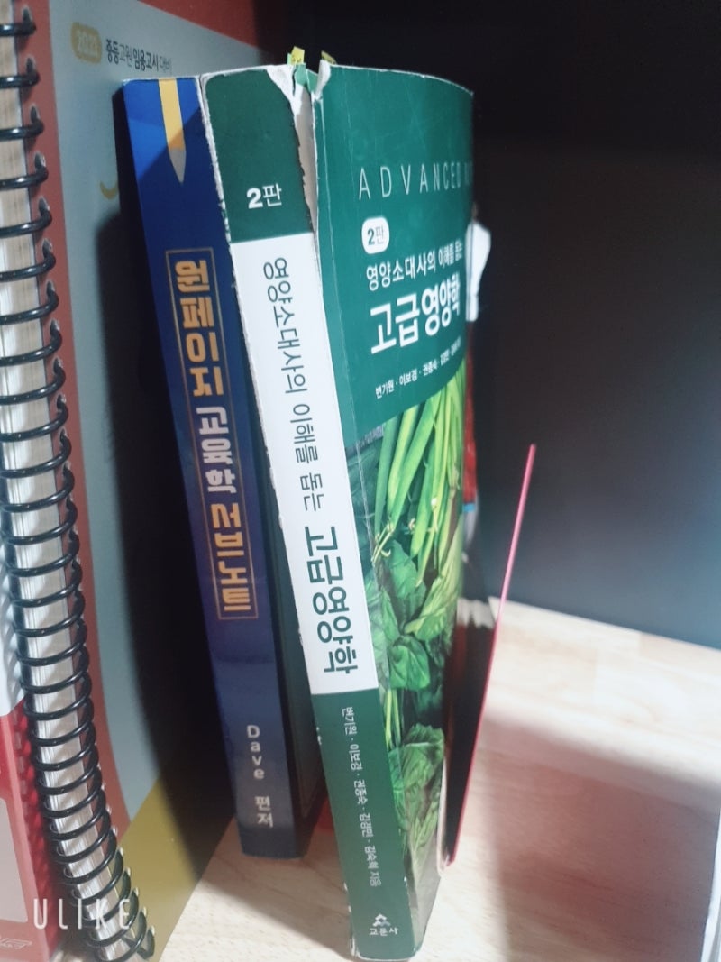 영양교사 중등임용고시 합격후기 2탄 1차 필기 공부방법 개론서에 단권화법 네이버 블로그