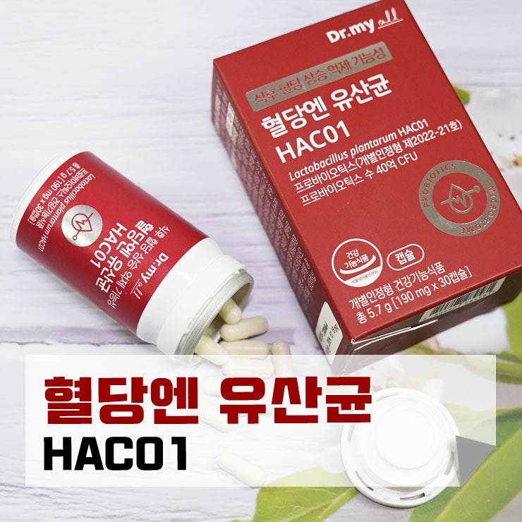 당화혈색소 정상수치 식후 2시간 혈당 관리 당뇨 식단은 혈당엔 유산균 Hac01으로 네이버 블로그