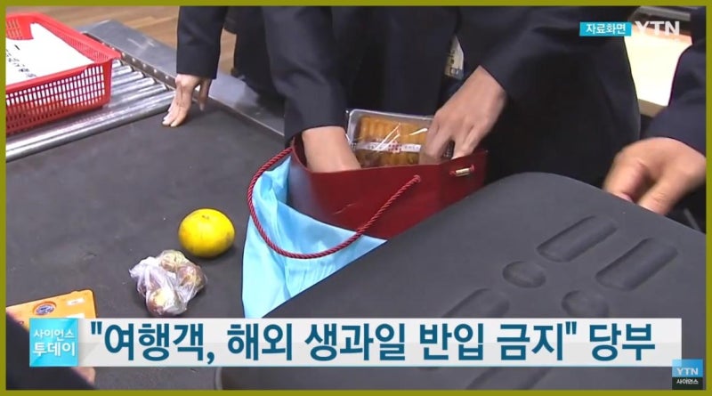인천공항 빠른 출국수속 방법 사전 체크인 온라인체크인 오토체크인 셀프백드랍 교통약자 우대 등 네이버 블로그
