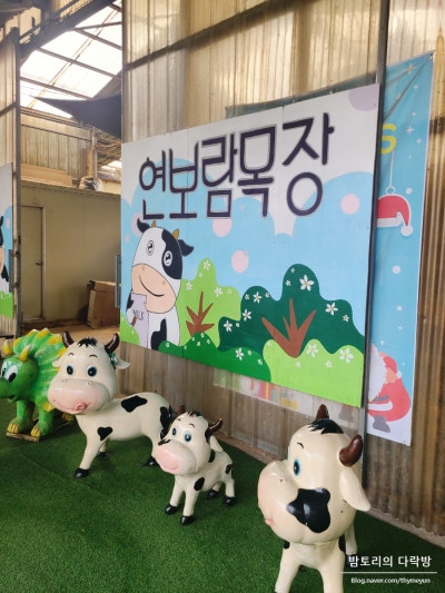 김포 아기랑 갈만한곳 내돈내산 연보람목장 네이버 블로그