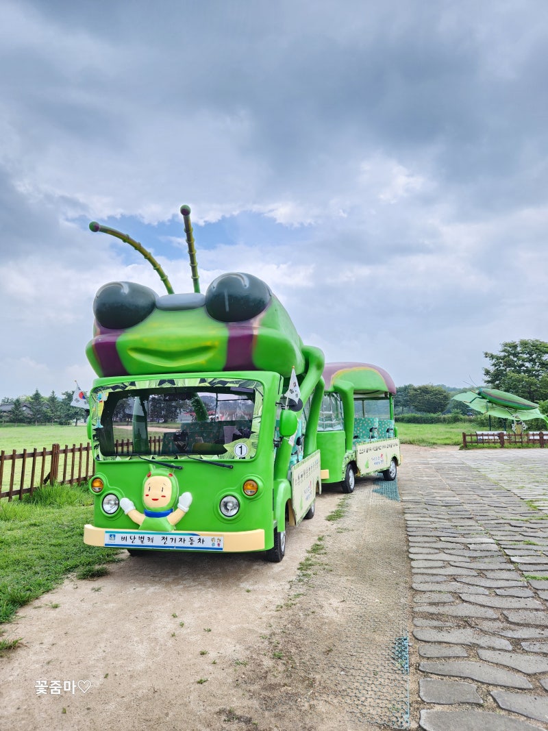 경주 비단벌레차 예약 방법 및 팁 우천시 취소 첨성대 자전거 네이버 블로그