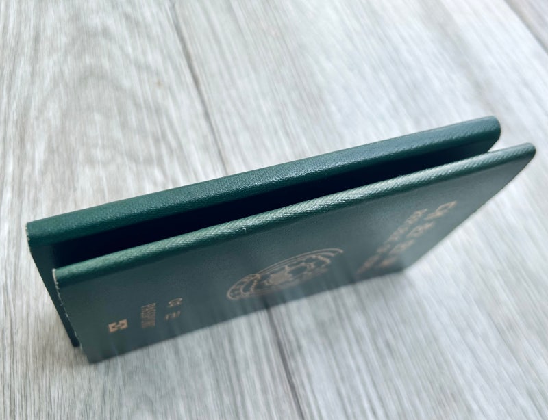 여권 재발급 비용 및 준비물 온라인 신청 수령 방법 귀 사진 규정 네이버 블로그