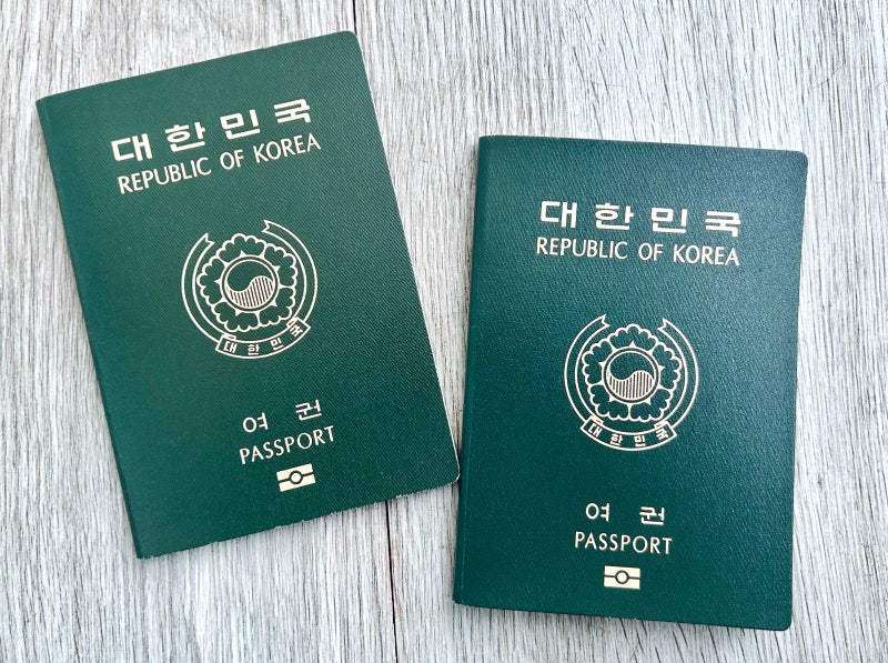 여권 재발급 비용 및 준비물 온라인 신청 수령 방법 귀 사진 규정 네이버 블로그