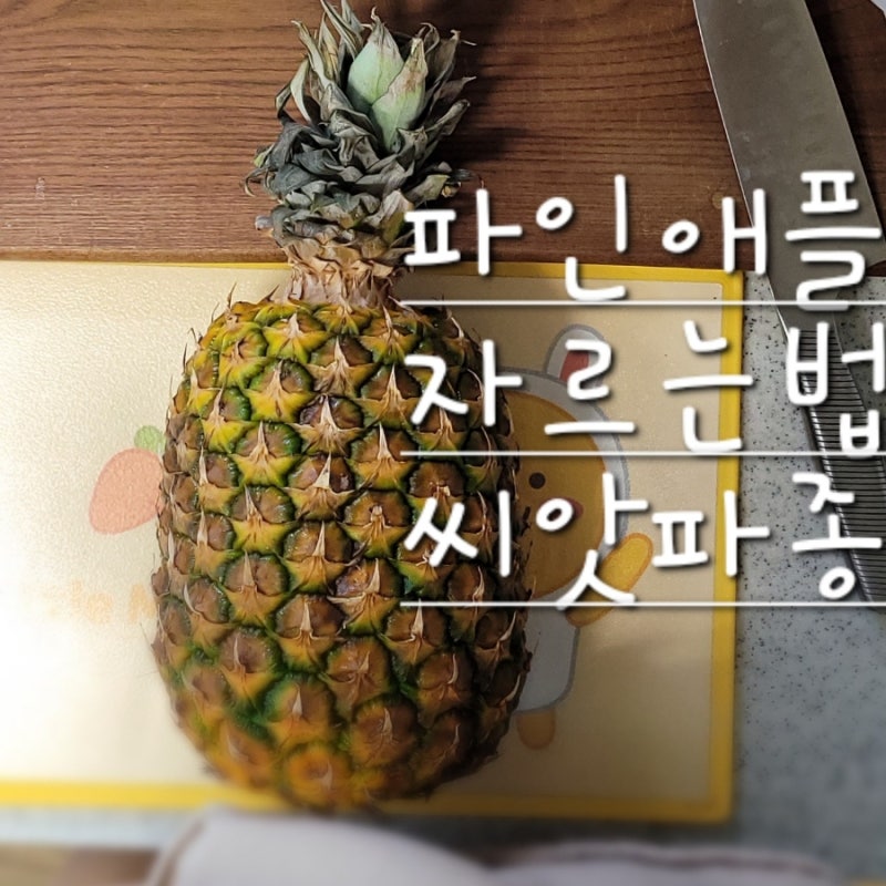 쉽고 예쁘게 파인애플 자르는법 씨앗 파종해 키우기 네이버 블로그
