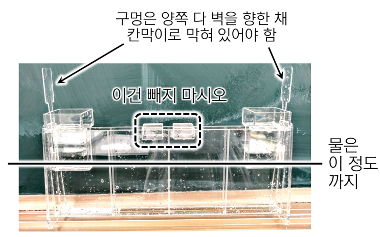 고등학교 지구과학1 생기부 세특 활동 주제 외계 행성계 탐사 관련 고찰하기 영화 콘택트1997 감상 활동지 세특