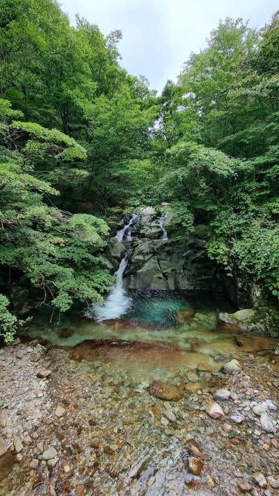 🔴[252] 지리산(22th) : 뱀사골- 8/19(토)/2023 : 네이버 블로그