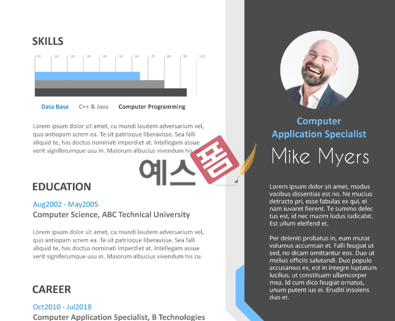영문 자기소개서cover Letter 작성 시 사용하면 좋은 표현 And 영어 이력서resume 예시 알아보기 네이버 블로그