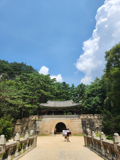 계곡과 숲이 함께 있는 문경새재주차장 요금 코스 주막 전동차 네이버 블로그